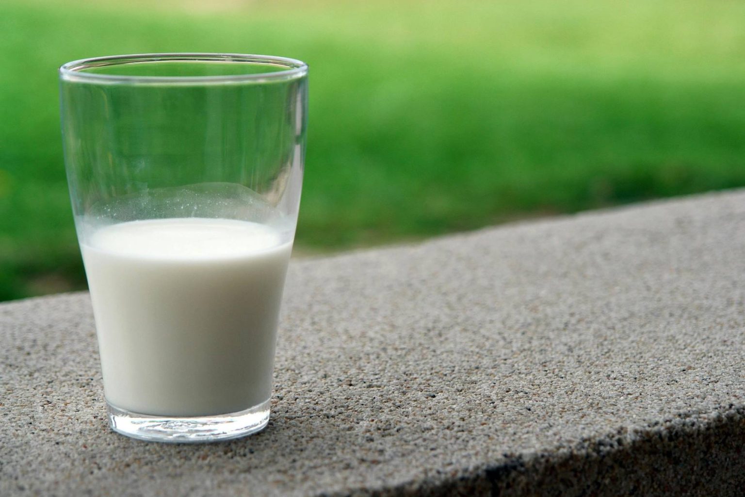 Top 10 Milk Producing Countries in the World 2025: A Comprehensive ...